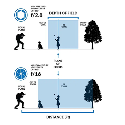 Aperture definition and function explained - Towin