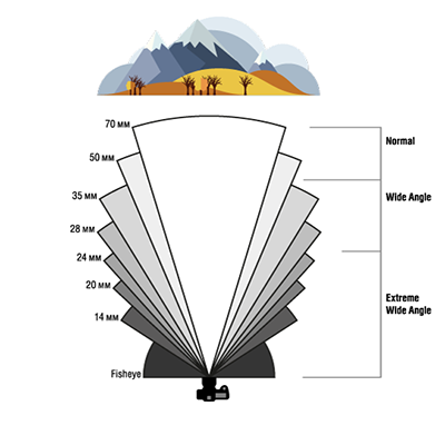 Fisheye vs Wide-Angle Lens: Comparing distortion and FOV - Towin